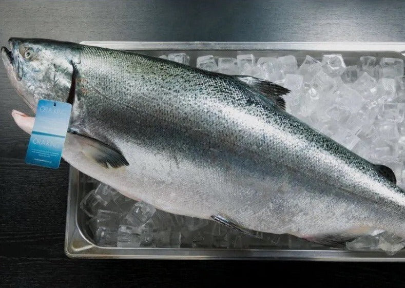 Fresh Ora King Salmon Whole or Fillet - CAVIARMAN GOURMET